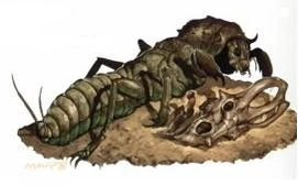 Plik:Deac2.jpg | King Kong Wiki | Fandom powered by Wikia