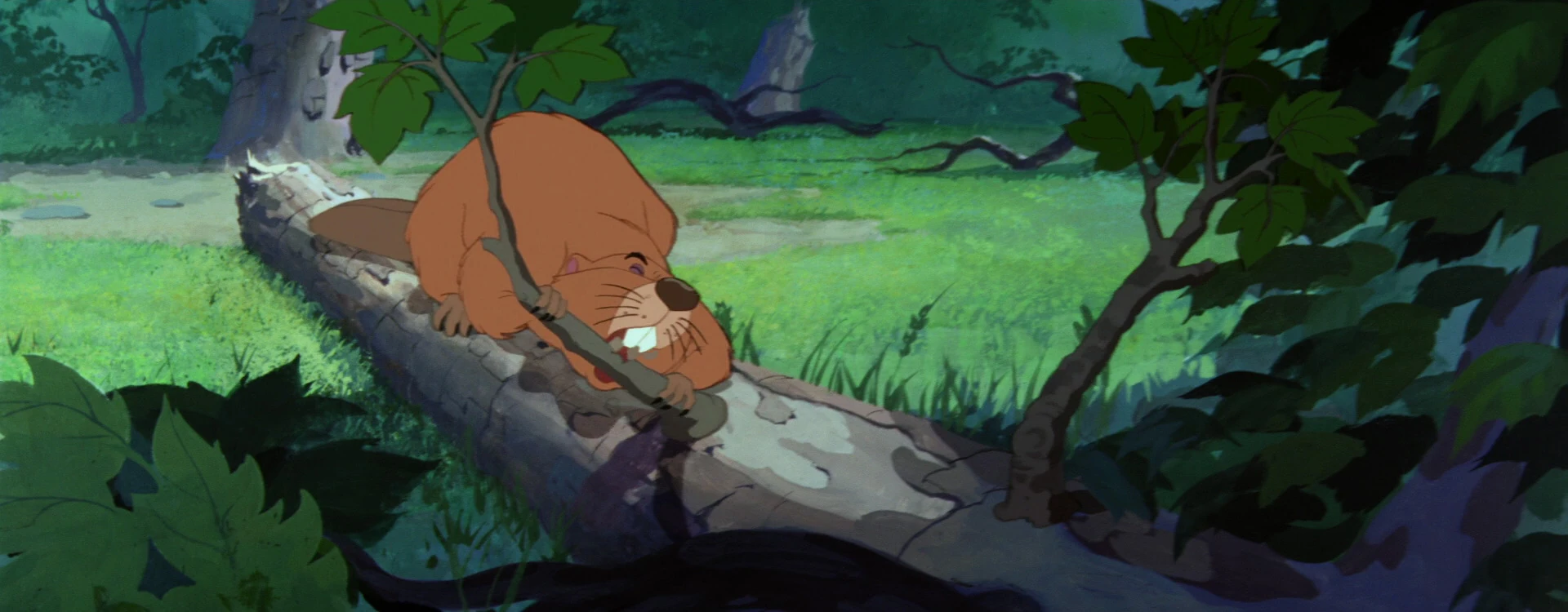 Image - Beaver.jpg | Lady And The Tramp Wiki | Fandom powered by Wikia
