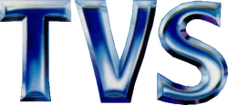 Television South | Logopedia | Fandom powered by Wikia