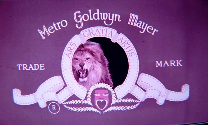 Image - MGM 1955.jpg | Logopedia | Fandom powered by Wikia