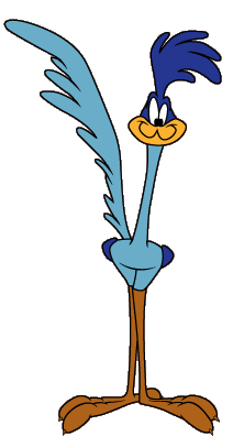 Correcaminos | Wiki Looney Tunes | Fandom powered by Wikia