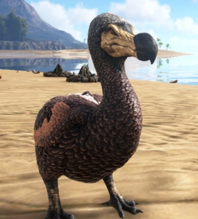 Dodo | Wikia Los Inmortales | FANDOM powered by Wikia