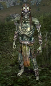 Barrow-wights | The One Wiki to Rule Them All | FANDOM powered by Wikia