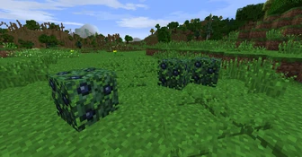 Berry Bush - The Lord of the Rings Minecraft Mod Wiki - Wikia