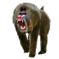 Mandrill | Mafia Wars Wiki | FANDOM powered by Wikia