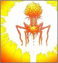 Despotellis (New Earth) | DC Database | Fandom powered by Wikia