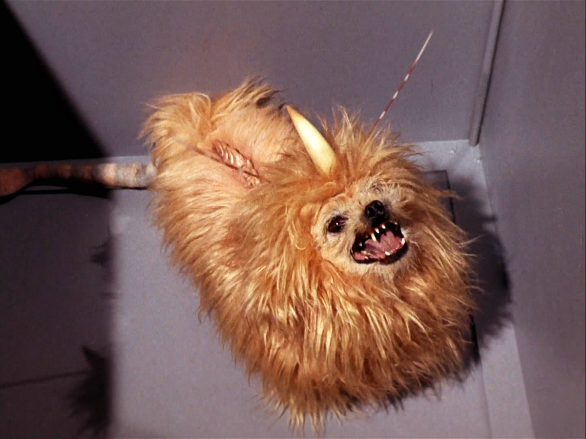 Unnamed Non Humanoids 23rd Century Memory Alpha Fandom Powered By Wikia