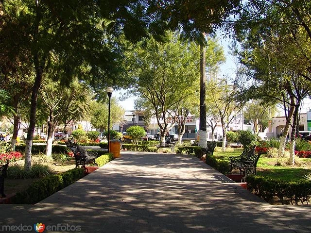 Apodaca | Méxicoteca | Fandom powered by Wikia