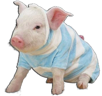 Image - RL-Poogie.png | Monster Hunter Wiki | Fandom powered by Wikia