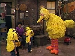 Episode 2228 | Muppet Wiki | FANDOM powered by Wikia