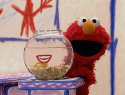 Elmo's World: Teeth | Muppet Wiki | FANDOM powered by Wikia