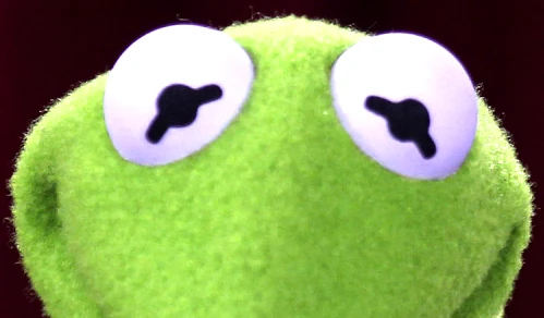 Kermit the Frog's eyes | Muppet Wiki | Fandom powered by Wikia