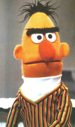 Bert Through the Years | Muppet Wiki | Fandom powered by Wikia