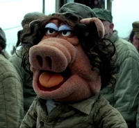 Miss Poogy | Muppet Wiki | Fandom powered by Wikia