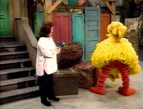The Rosie O'Donnell Show on Sesame Street | Muppet Wiki | Fandom ...