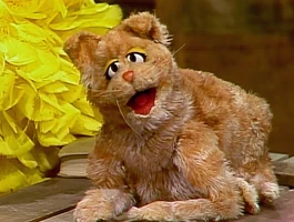 Cats | Muppet Wiki | Fandom powered by Wikia