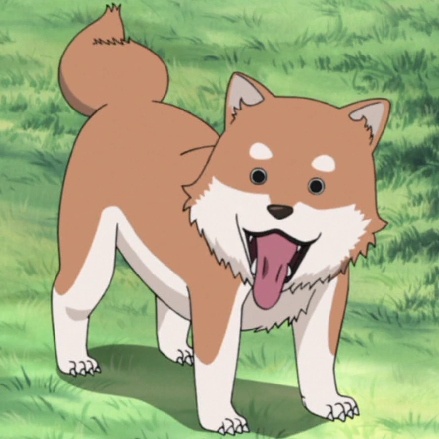 Shiro | Narutopedia | FANDOM powered by Wikia