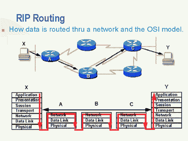 Rip Network Infrastructure Wiki Fandom Powered By Wikia
