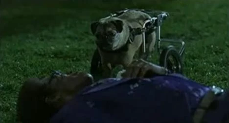 Image - Lloyd norbit 11.jpg | Norbit Wiki | FANDOM powered by Wikia