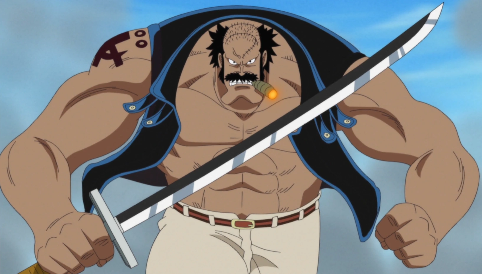 Fossa | One Piece Wiki | Fandom powered by Wikia