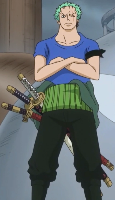 Image - Zoro's Zou Outfit.png | One Piece Wiki | FANDOM powered by Wikia