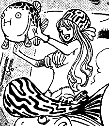 Sora (Sereia) | One Piece Wiki | Fandom powered by Wikia