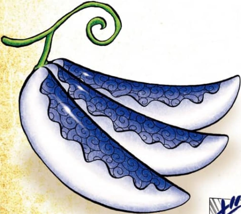 Supa Supa no Mi | One Piece Wiki | FANDOM powered by Wikia