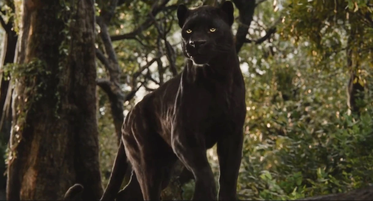 Bagheera (The Jungle Book 2016) | Heroes Wiki | Fandom powered by Wikia