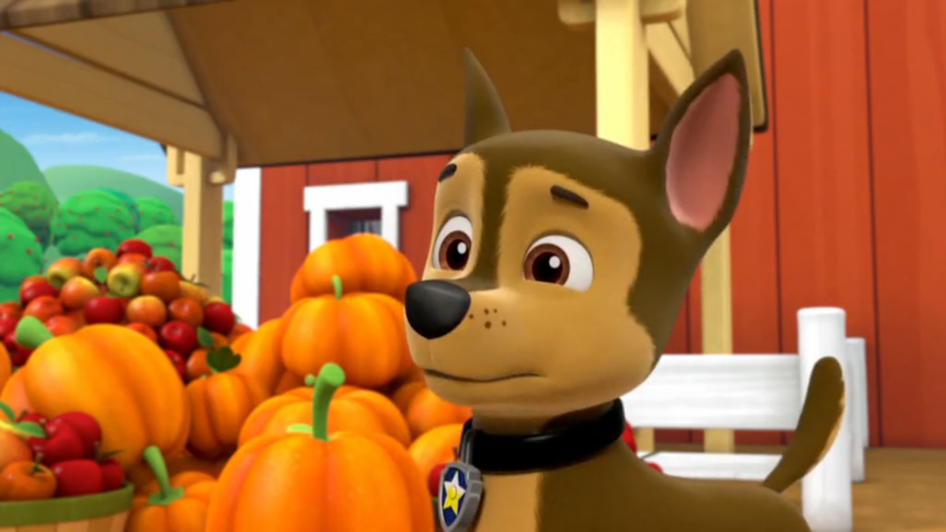 Pups Fall Festivaltrivia Paw Patrol Wiki Fandom Powered By Wikia