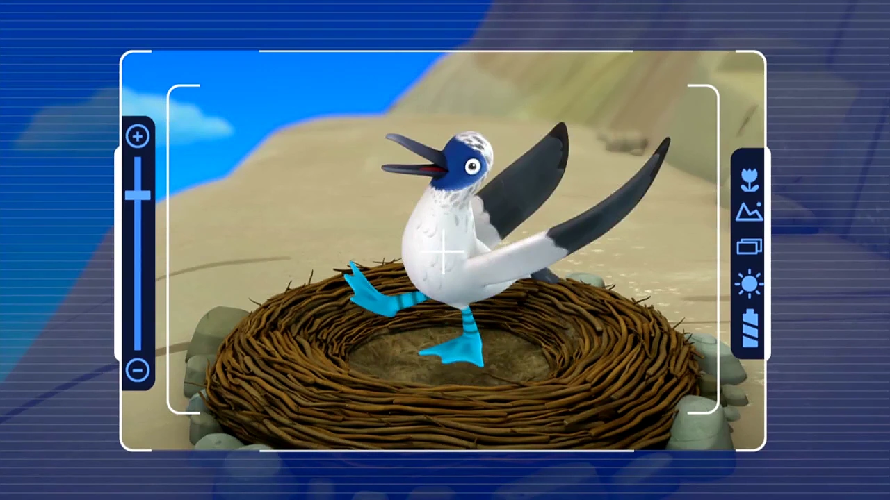 Blue Footed Booby Bird | PAW Patrol Wiki | FANDOM powered by Wikia