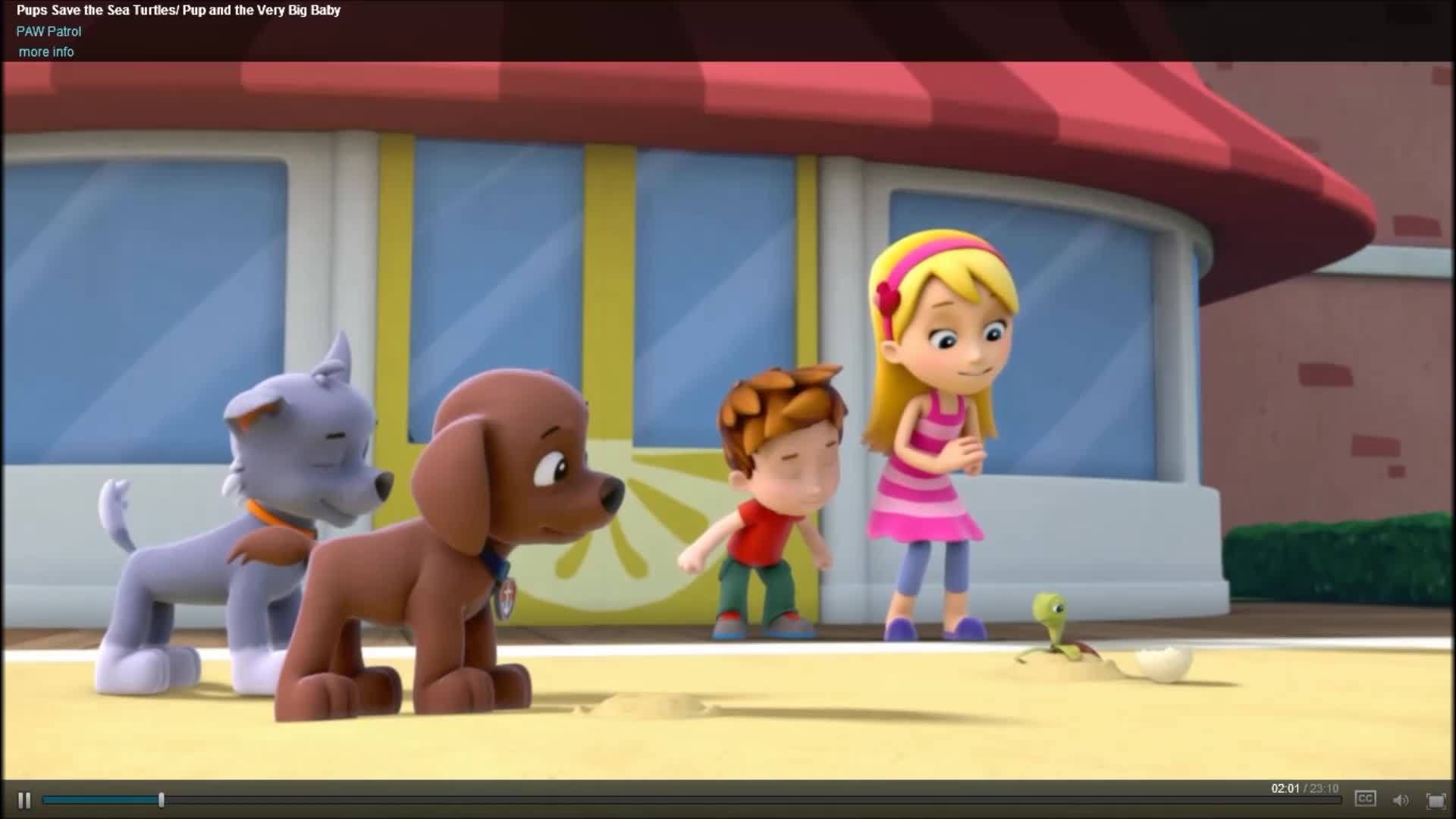Katiegallerypups Save The Sea Turtles Paw Patrol Wiki Fandom Powered By Wikia