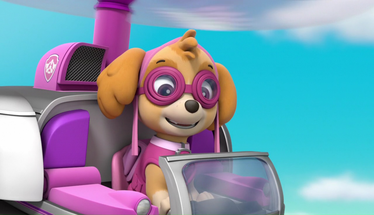 Skye/Gallery/Pups Save the Cat Show | PAW Patrol Wiki | FANDOM powered ... Skye/Gallery/Pups Save the Cat Show | PAW Patrol Wiki | FANDOM powered ...