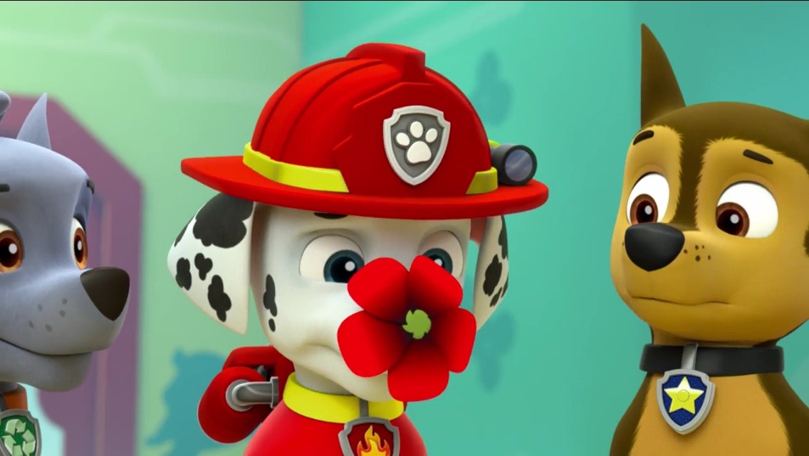 Rocky/Gallery/Pups Save the Songbirds | PAW Patrol Wiki | FANDOM ... Rocky/Gallery/Pups Save the Songbirds | PAW Patrol Wiki | FANDOM ...