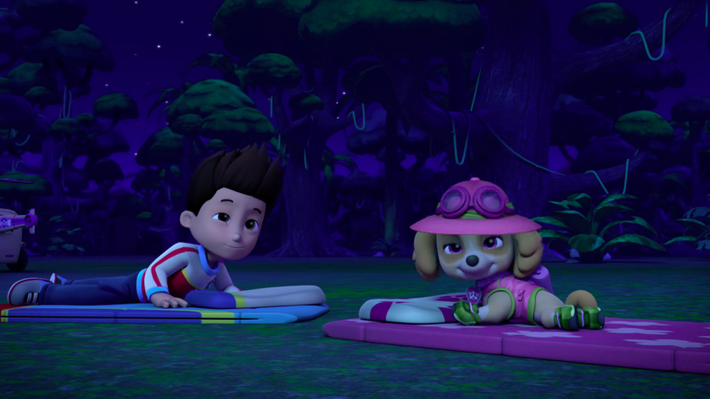 Image Paw Patrol 315 Scene 67 Ryder And Skyepng Paw Patrol Wiki Fandom Powered By Wikia