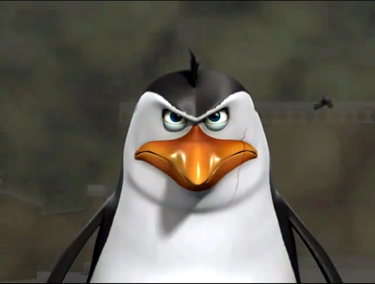 Image - Rico(serious).jpg | Madagascar Wiki | FANDOM powered by Wikia