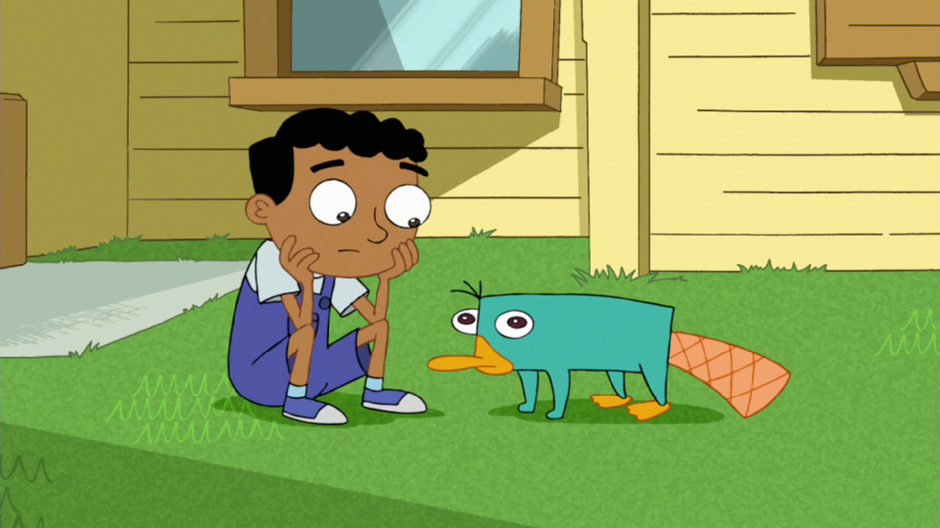 Image - Baljeet watches perry.jpg | Phineas and Ferb Wiki | FANDOM ...