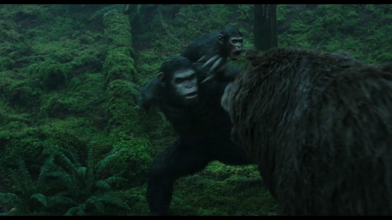Image - Caesar protects Blue Eyes from bear.png | Planet of the Apes ...