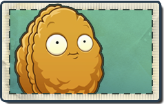 Image - Wall-nut Seed Packet.png | Plants vs. Zombies Wiki | FANDOM ...