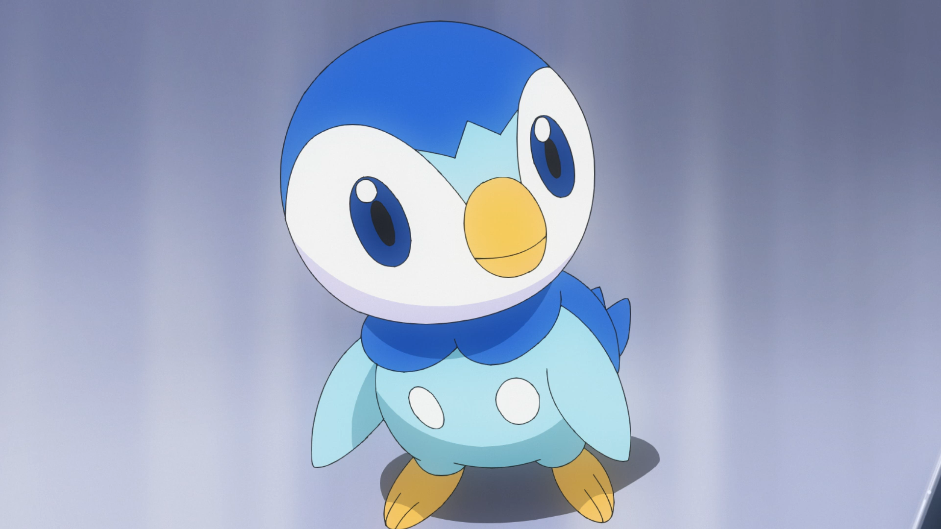 Dawn Anime Pokémon Wiki Fandom Powered By Wikia