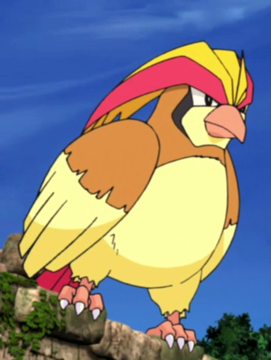 Alva's Pidgeot | Pokémon Wiki | Fandom powered by Wikia