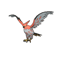 Talonflame | Pokémon Wiki | Fandom powered by Wikia