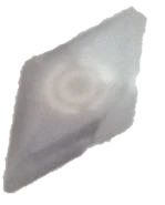 Z-Crystal | Pokémon Wiki | Fandom powered by Wikia