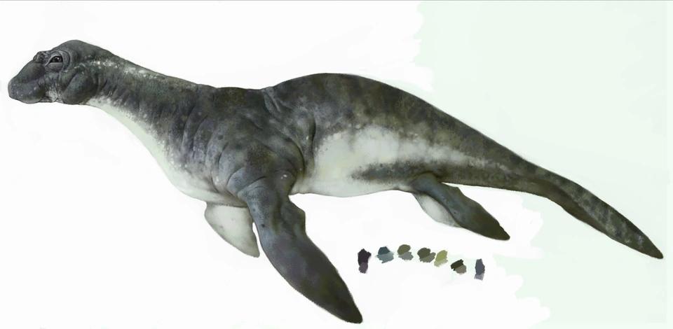 Image - Mee-Shee profile image.png | Superpower Wiki | Fandom powered ...