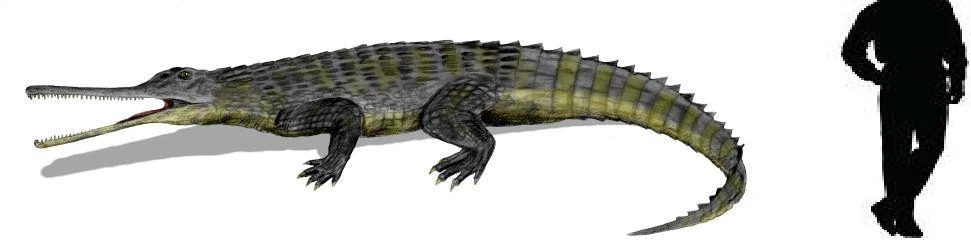 Rutiodon | Wiki Prehistórico | FANDOM powered by Wikia