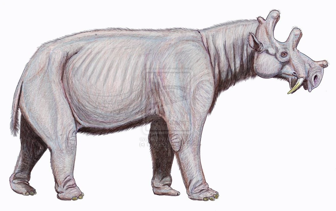 Categoría:Dinocerata | Wiki Prehistórico | FANDOM powered by Wikia
