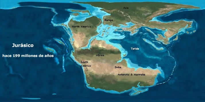 Mesozoico | Wiki Prehistórico | Fandom powered by Wikia