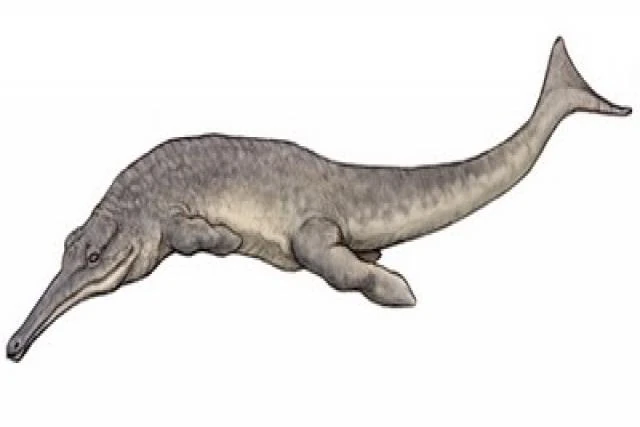 Geosaurus | Wiki Prehistórico | FANDOM powered by Wikia