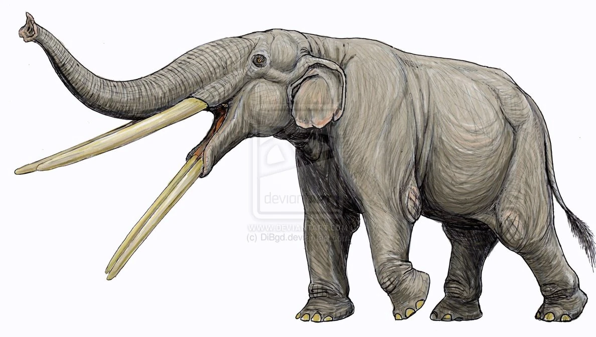 Stegotetrabelodon | Wiki Prehistórico | Fandom powered by Wikia