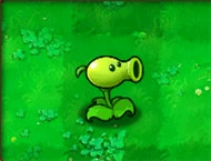 Image - Animated peashooter.gif | Plants vs. Zombies Character Creator ...
