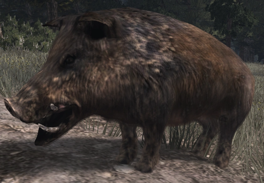 Boar | Red Dead Wiki | FANDOM powered by Wikia